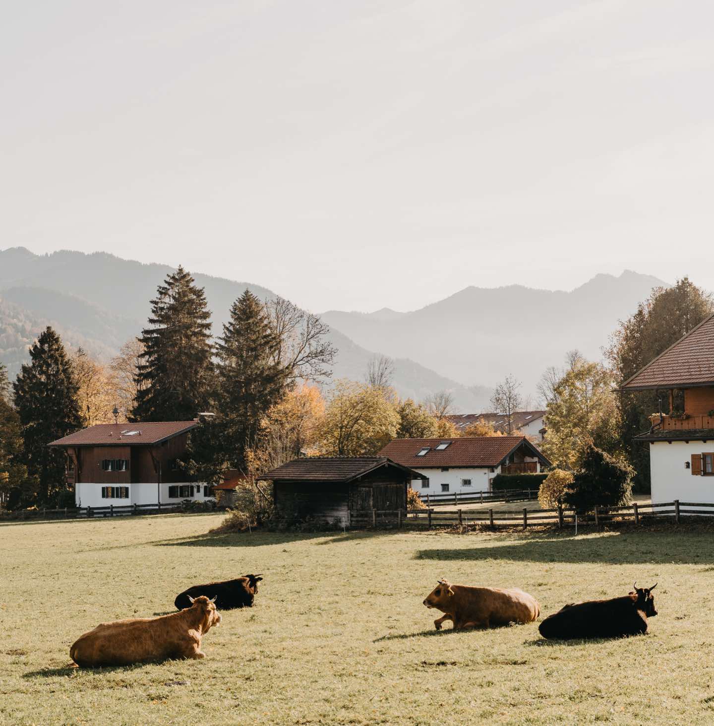Starlight Farm Store – Rutland's Premier Farm Store